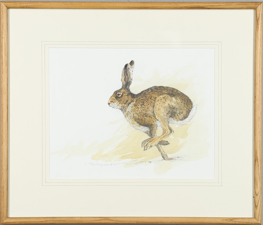 A TIM HAYWARD SIGNED WATERCOLOUR AND GOUACHE PICTURE OF A HARE. Art ...