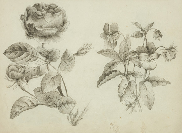 THE SWAHN SISTERS Laura, Hilda and Emeley First half of the 19th ...