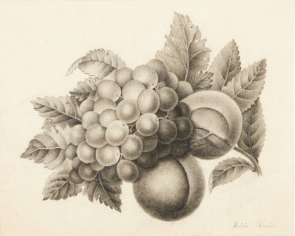 THE SWAHN SISTERS Laura, Hilda and Emeley First half of the 19th ...