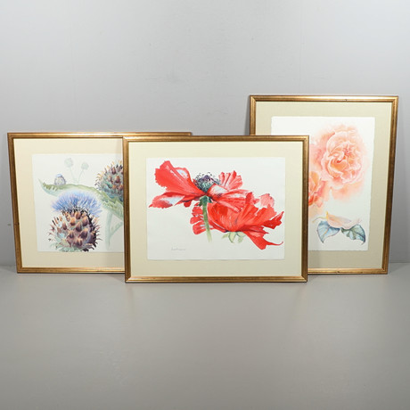 IVOR B. COBURN (B.1934). GOLIATH POPPY; ROSE JUST JOEY; CARDOONS. Art ...