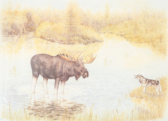 NILS BERGLUND. "Älg", färglitografi, signerad 1991. Konst - Grafik - Auctionet