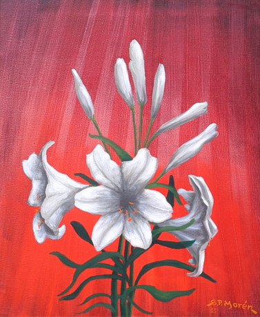 BERNT PETER MORÉN. Olja på duk, vita liljor, signerad B P Morén. Konst ...