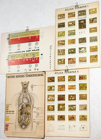 SCHOOL BLACKBOARDS, 4 pcs., 2 pcs edible mushrooms and 2 pcs digestive ...