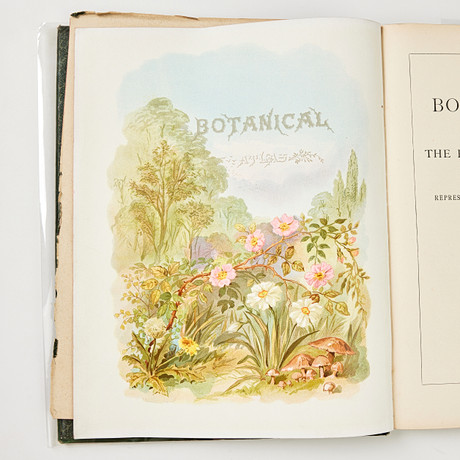 M'ALPINE'S BOTANICAL ATLAS FROM 1883 with coloured plates in 2 volumes ...