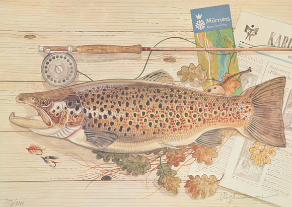 ROLF SMEDMAN. Offset print, "Fiskevård Mörrumsån 1992", signed numbered ...