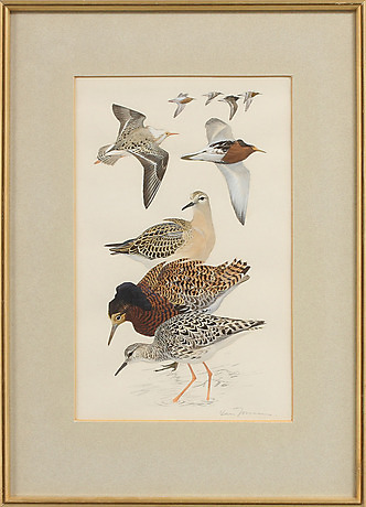 LARS JONSSON. Birds, watercolor, signed. Art - Paintings - Auctionet