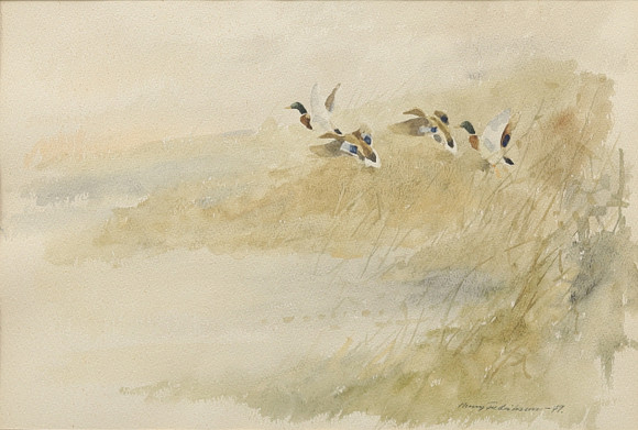 HENRY FREDRIKSSON (FÖDD 1936). Ducks, watercolour, signed and dated -79 ...