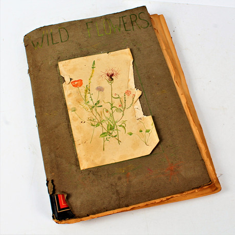 ALBUM, VILD BLOMMA, OMKRING 1936. Allmoge - Övrigt - Auctionet