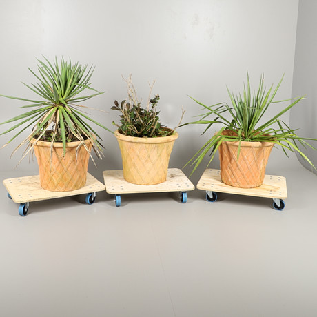 A SET OF THREE LARGE TERRACOTTA LATTICE DESIGN PLANTERS. Garden ...