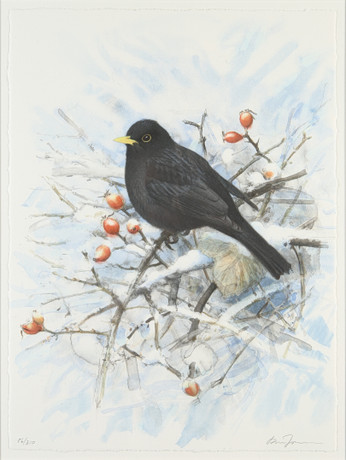 LARS JONSSON. lithograph, signed, numbered 86/310. Art - Engravings ...