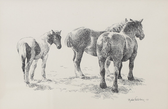 BJÖRN GIDSTAM. Hästar, tusch, signerad. Konst - Teckningar - Auctionet