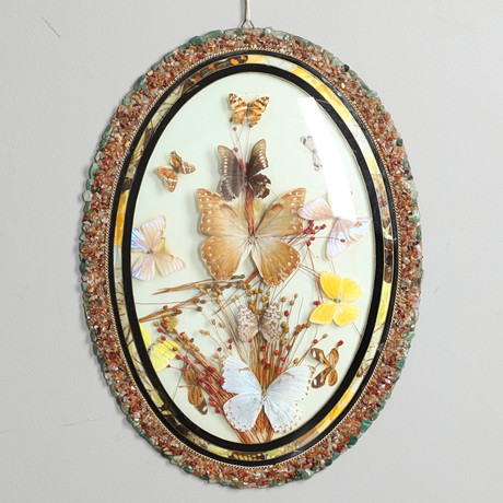 A DECORATIVE CONVEXED BUTTERFLY DISPLAY. Miscellaneous - Miscellaneous ...