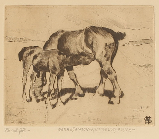 NORA VON SAMSON HIMMELSTJERNA. Aguafuerte, "yegua y potro", firmado ...