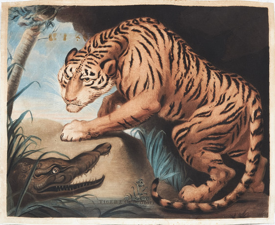 CHARLES TURNER (1773-1857). Motiv med tiger och krokodil, gravyr ...