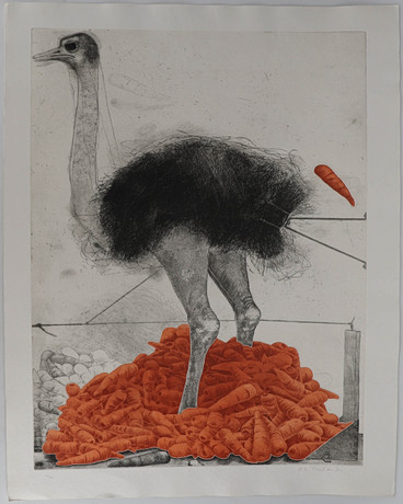 PER GUNNAR THELANDER. Ostrich, from the series European Ostriches ...