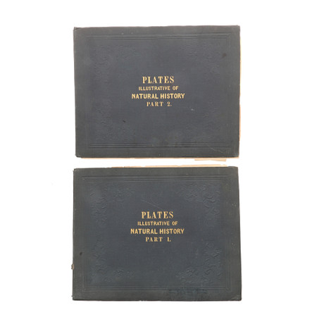 THIRTY PLATES ILLUSTRATIVE OF NATURAL HISTORY, PART 1 & PART 2. Books ...