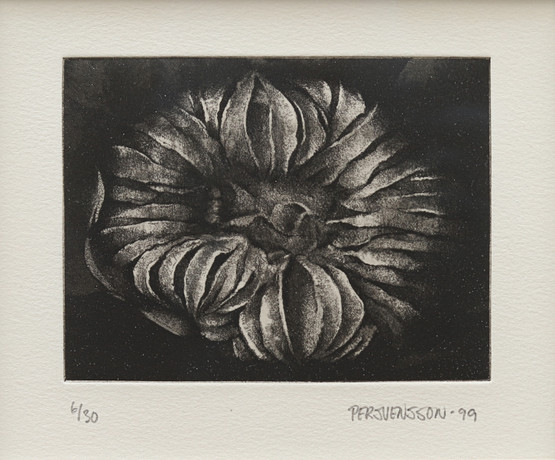 PER SVENSSON. Seed shell, etching no. 6/30, signed and dated -99. Art ...