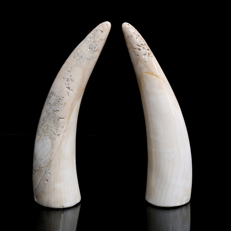 SCULPTURES, a pair, tusks of fossil/petrified wood. Miscellaneous ...