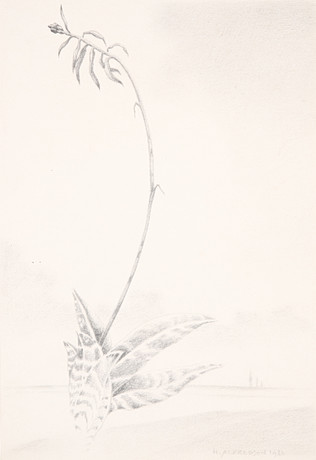 HAWK ALFREDSON. Blyerts, surrealistisk, signerad, daterad 1986. Konst ...