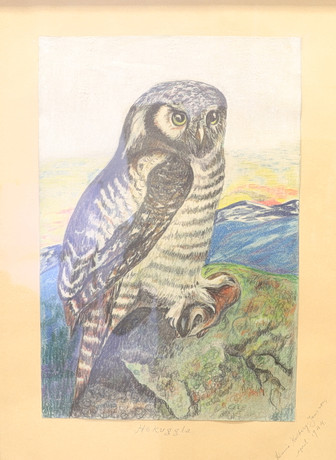 OIDENTIFIERAD KONSTNÄR. Pastell, "Hökuggla", signerad och daterad 1944 ...