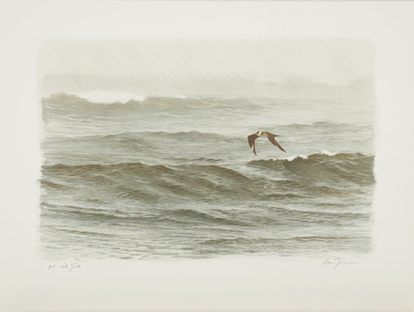 LARS JONSSON. "Labb över öppet vatten". Konst - Grafik - Auctionet