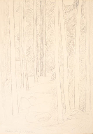 KARIN BERG-IDAR (1915-2001), blyerts, skogsmotiv, signerad. Konst ...