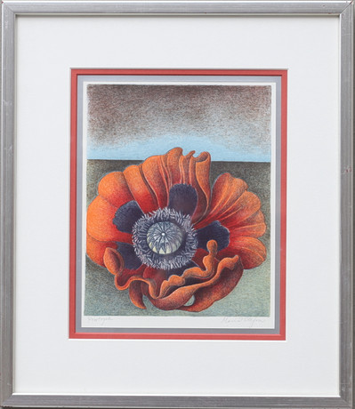 MARIA HILLFON. Color lithography, sample printing. Art - Engravings ...