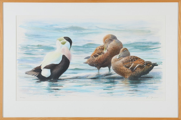 LARS JONSSON. Ejdrar, signerad Lars Jonsson, HC 11/35, färglitografi ...