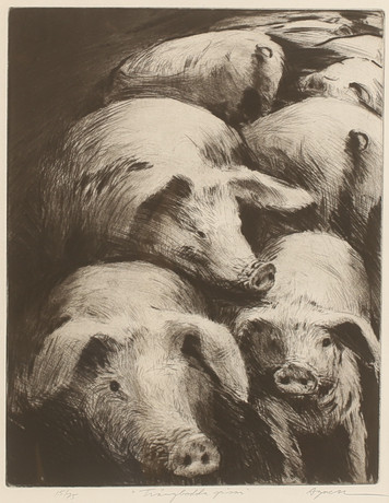 OLLE AGNELL. Dry needle engraving, “Crowded pigs”, signed. Art ...