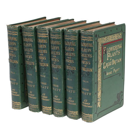 ANNE PRATT. The Flowering Plants of Great Britain, 6 Vols, 1889. Books ...