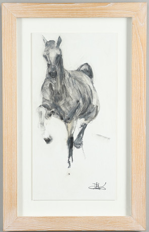 DEBORAH JACKSON (B.1956). HORSE STUDY (TRIT TROT). Art - Paintings ...