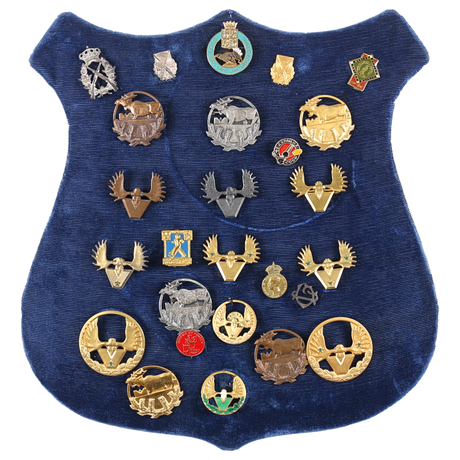 SKYTTEMÄRKEN, pins, medalj, mfl, 1900-talet. Mynt, Medaljer & Frimärken ...