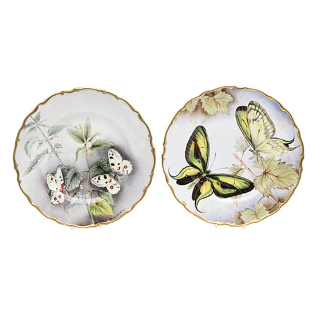 DAVID BOWKETT - PAIR OF SIGNED CABINET PLATES 'BUTTERFLIES'. Ceramics ...