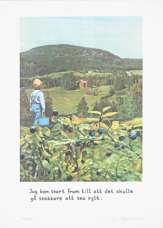 JAN STENMARK (Sweden, born 1949), “I soon came to the conclusion that ...