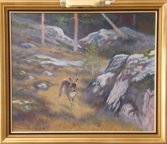 HENNING HOUGAARD. Oil on canvas, forest hare, signed. Art - Paintings ...