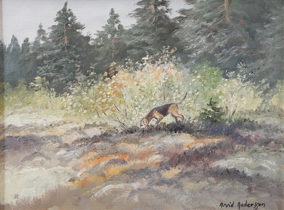 ARVID ANDERSSON. Nosande jakthund. Olja på duk, signerad. Konst - Måleri - Auctionet