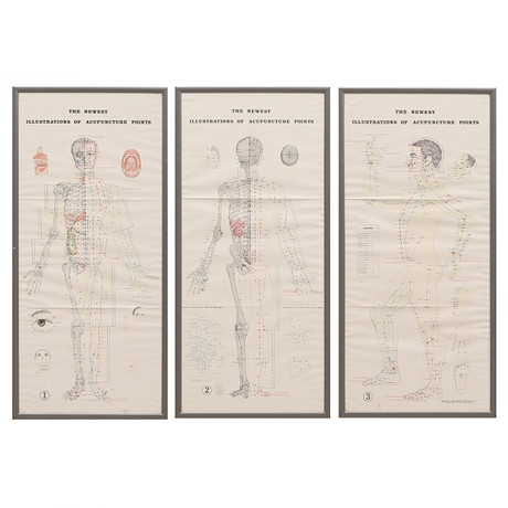 A set of three 20th century medical plans. Art - Engravings & Prints ...