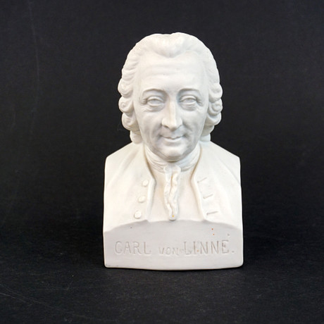 A portrait bust, after, Johan Dahlbom, depicting Carl von Linnaeus. Art ...