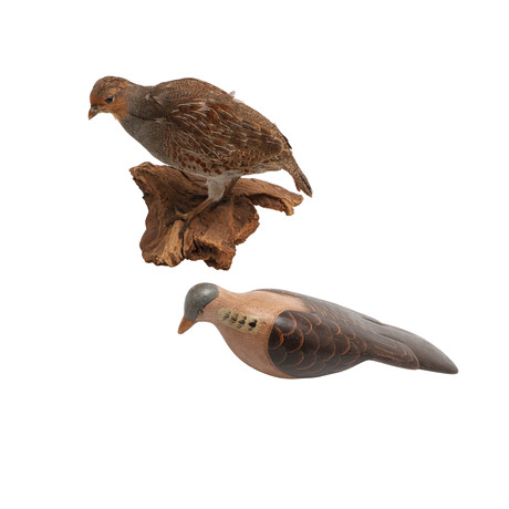 A POLYCHROME PAINTED PIGEON DECOY AND A TAXIDERMY MODEL OF A DAURIAN ...