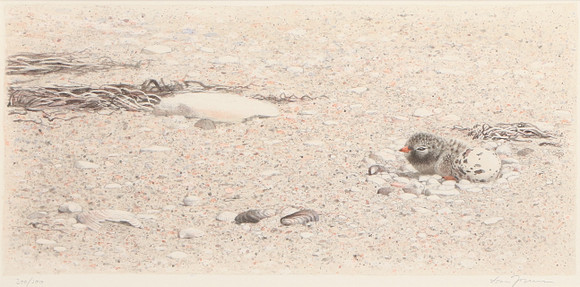 LARS JONSSON. Lithograph in colours 300/300, freshly hatched beach ...