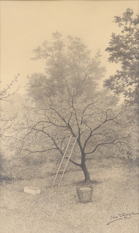 OWE ZERGE. Apple tree, pencil drawing, signed. Art - Drawings - Auctionet