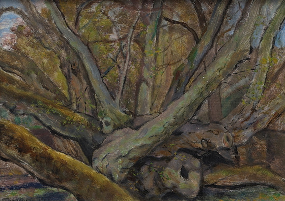 TORSTEN WESSBERG, oil on panel, motif of fallen trees. Art - Paintings ...