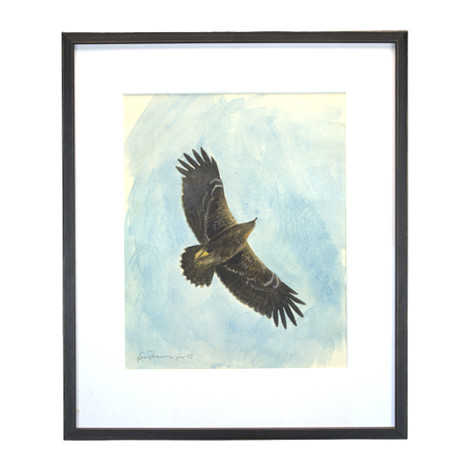 LARS JONSSON. Watercolour, screamer, signed 1973. Art - Paintings ...