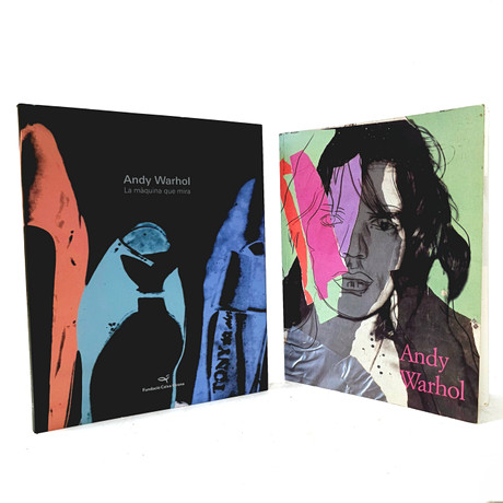 TWO BOOKS BY ANDY WARHOL “ANDY WARHOL” AND “ANDY WARHOL: THE SEEING ...
