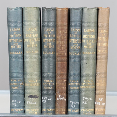 WILLIAM BUCKLER AND H. T. STAINTON. The Larvae of the British ...