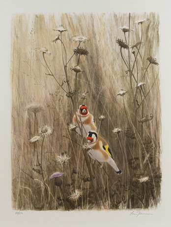 LARS JANSSON. birds in branches, lithograph in colours, numbered 60/250 ...