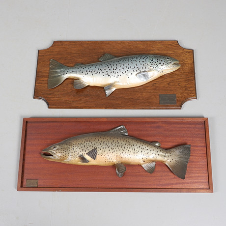 TAXIDERMY INTEREST - TWO MOUNTED FISH PLAQUES BY ALLAN ALLISON OF ...