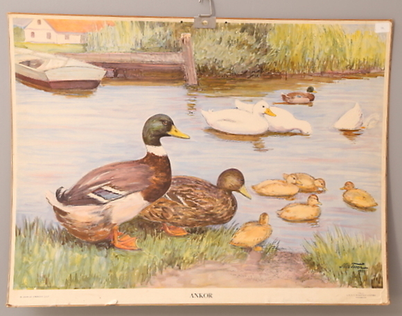 SCHOOL PLANSCH, Ducks, presented by Nils Tiren in 1933. Art - Other ...