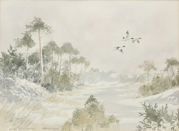 HENRY FREDRIKSSON. "Storskrakar", akvarell, signerad. Konst - Måleri ...