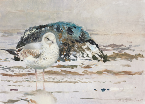 LARS JONSSON. Mås. Konst - Måleri - Auctionet